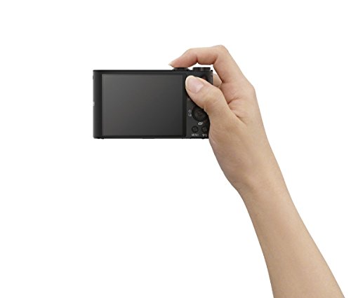 Sony DSCWX350 18 MP Digital Camera (Black) (Renewed)