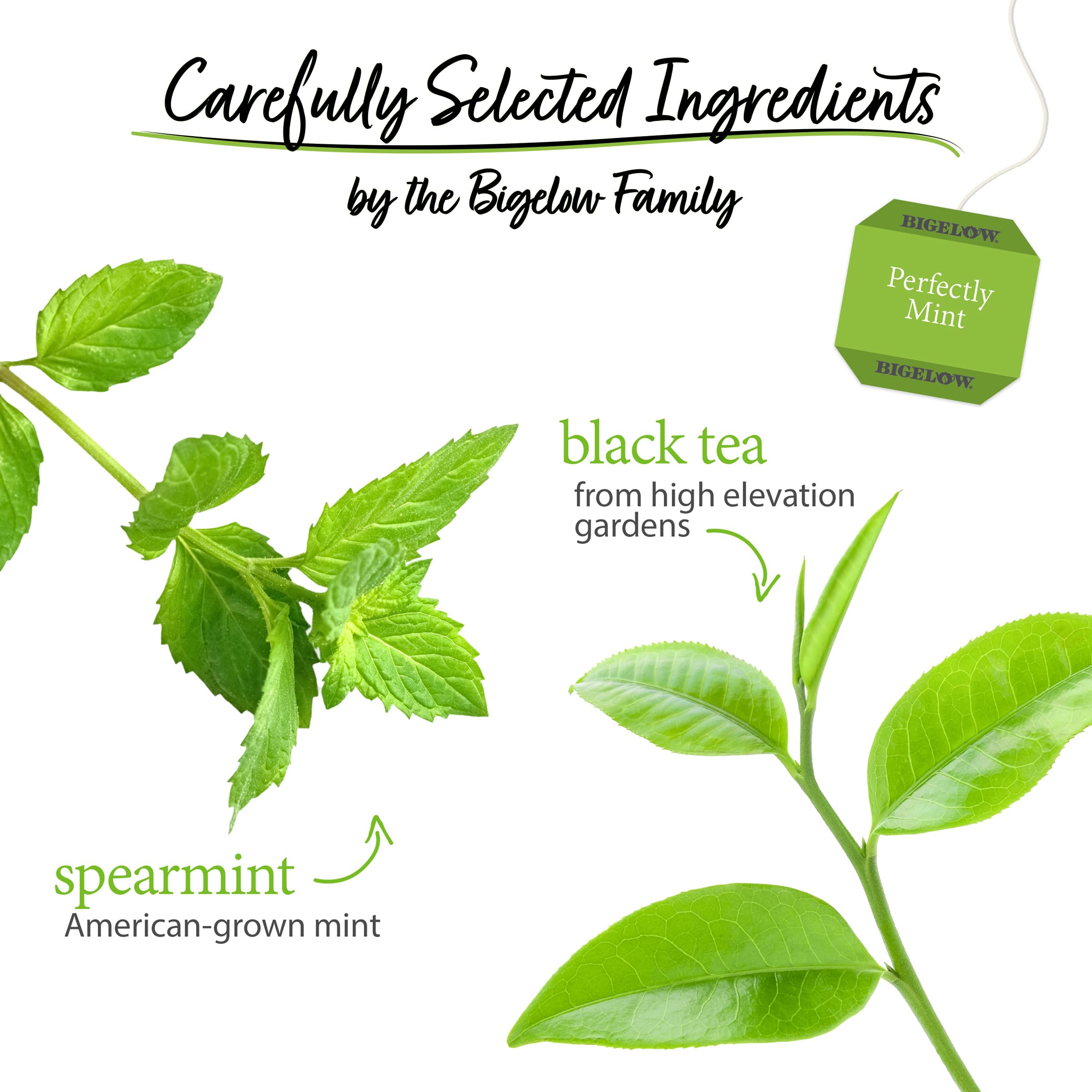 Bigelow Perfectly Mint Black Tea, Caffeinated, 20 Count (Pack of 6), 120 Total Tea Bags