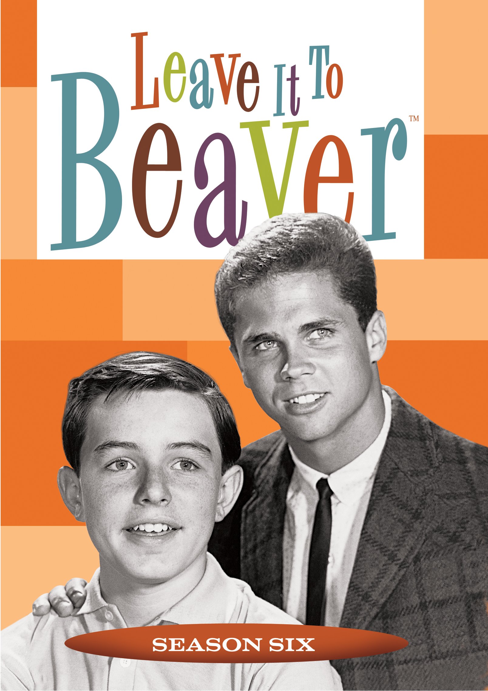 Leave It to Beaver: Season 6
