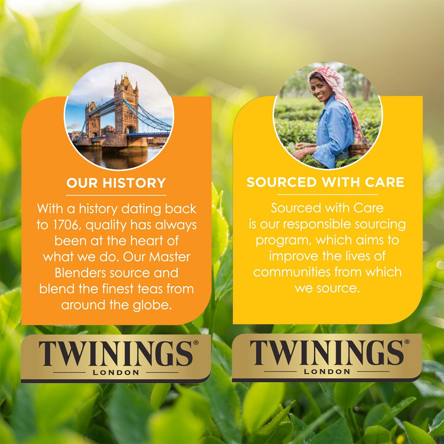 Twinings Earl Grey Tea Keurig K-Cup Pods (48 Count)