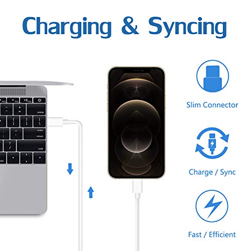 [Apple MFi Certified] iPad iPhone Charger Fast Charging Block with 2-Pack 6.6FT Lightning to USB Charging Cable Cord 12W Foldable Portable Wall Plug Compatible for iPad, iPad Pro/Air/Mini, iPhone