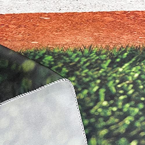 Riyidecor Green Baseball Field Backdrop Fabric Polyester Stadium 7Wx5H Feet Photography Background Art Fabric Booth for Children Decorations Birthday Festival Event Props Party Photo Studio Shoot