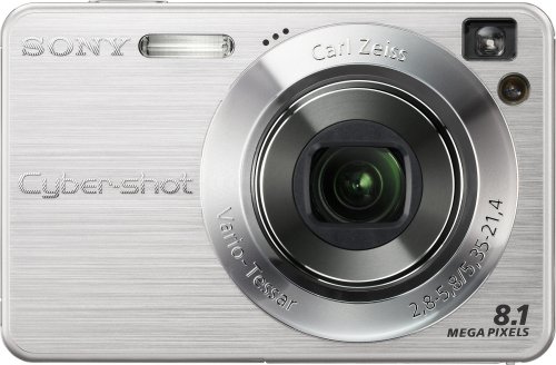 Sony Cyber-shot DSC-W130 8.1MP Digital Camera with 4x Optical Zoom with Super Steady Shot (Silver)