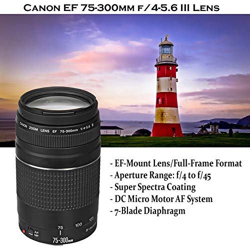 Canon EOS 90D DSLR Camera Kit with Canon 18-135mm & 75-300mm Lenses + 420-800mm Telephoto Zoom Lens + Battery Grip + TTL Flash (Upto 180 Ft) + Commander Microphone + 128GB Memory + Accessory Bundle