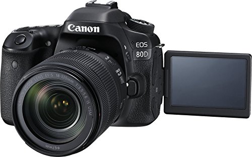 Canon EOS 80D Digital SLR Kit with EF-S 18-135mm f/3.5-5.6 Image Stabilization USM Lens (Black) (Renewed)