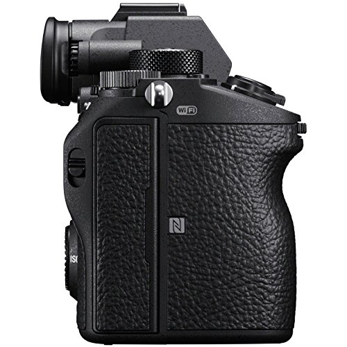 Sony a7 III Full Frame Mirrorless Interchangeable Lens 4K HDR Camera ILCE-7M3 Body Bundle with Deco Gear Travel Bag, 2X 64GB Memory Cards, Editing Suite and Accessories (18 Items)