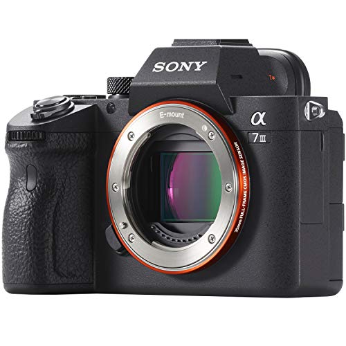 Sony a7 III Full Frame Mirrorless Interchangeable Lens 4K HDR Camera ILCE-7M3 Body Bundle with Deco Gear Travel Bag, 2X 64GB Memory Cards, Editing Suite and Accessories (18 Items)