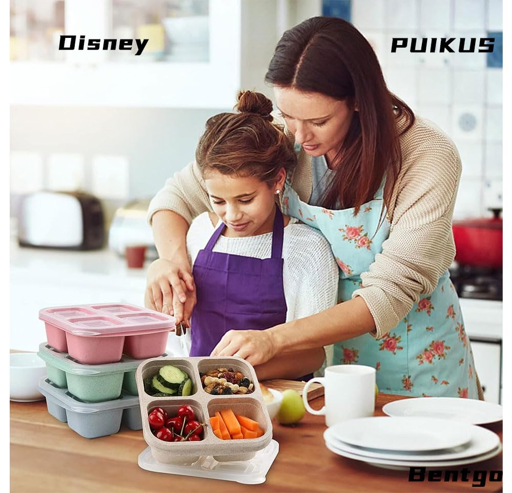 TurtingAs Snack Containers, 4 Pack Reusable Bento Snack Box, 4 Compartments Meal Prep Lunch Containers for Kids Adults, Divided Food Storage Containers for School Work Travel