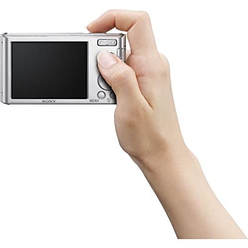 Sony DSC-W830 Digital Camera (Silver) (DSC-W830) + 2 x NP-BN1 Battery + Case + Charger + 64GB Card + Card Reader + Corel Photo Software + Flex Tripod + Micro USB Cable + Memory Wallet + Cleaning Kit