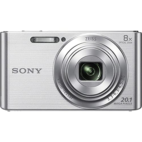 Sony DSC-W830 Digital Camera (Silver) (DSC-W830) + 2 x NP-BN1 Battery + Case + Charger + 64GB Card + Card Reader + Corel Photo Software + Flex Tripod + Micro USB Cable + Memory Wallet + Cleaning Kit