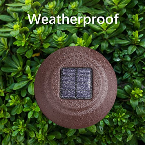 GIGALUMI Super Bright Solar Outdoor Lights 4 Pack, Waterproof Metal Automatic Path Lights with Glass Stainless Steel, Solar Yard Lights Decorative for Path, Garden, Lawn, Patio and Walkway