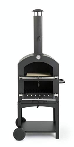 WPPO llc Standalone Wood/Charcoal Fired Garden Oven