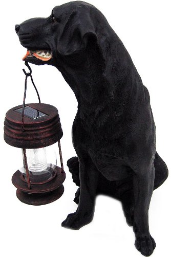 Black Labrador Dog with Lantern Garden Solar Light