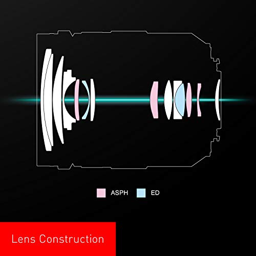 Panasonic LUMIX Professional 50-200mm Camera Lens, G Leica DG Vario-ELMARIT, F2.8-4.0 ASPH, Dual I.S. 2.0 with Power O.I.S, Mirrorless Micro Four Thirds, H-ES50200 (Black)