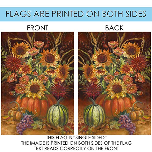 Toland Home Garden 102529 Fall Burst Fall Garden Flag 28x40 Inch Double Sided for Outdoor House Yard Decoration