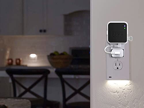 256GB Blink USB Flash Drive and Outlet Wall Mount for Blink Sync Module 2, Space Saving for Blink Outdoor Indoor Security Camera (Blink Sync Module 2 is NOT Included)
