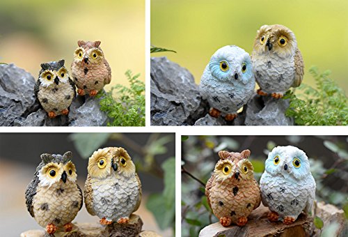 Miraclekoo 8 Pcs Mini Resin Owls Miniature Figurines Fairy Garden Owl Ornament for Dollhouse, Plant Pot, Micro Landscape, Bonsai Craft Decor