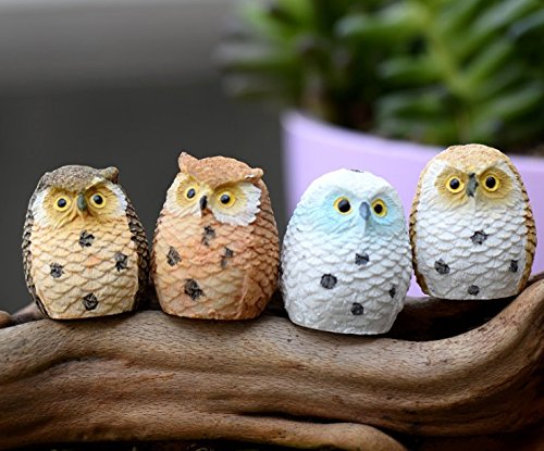 Miraclekoo 8 Pcs Mini Resin Owls Miniature Figurines Fairy Garden Owl Ornament for Dollhouse, Plant Pot, Micro Landscape, Bonsai Craft Decor