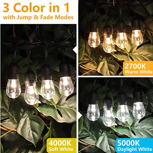 Mlambert 2 Pack 3-Color in 1 48Ft LED Dimmable Outdoor String Lights with Remote for Patio, Plug-in Warm White Soft White Daylight White Waterproof Hanging Edison Bistro Cafe Light-Total 96Ft