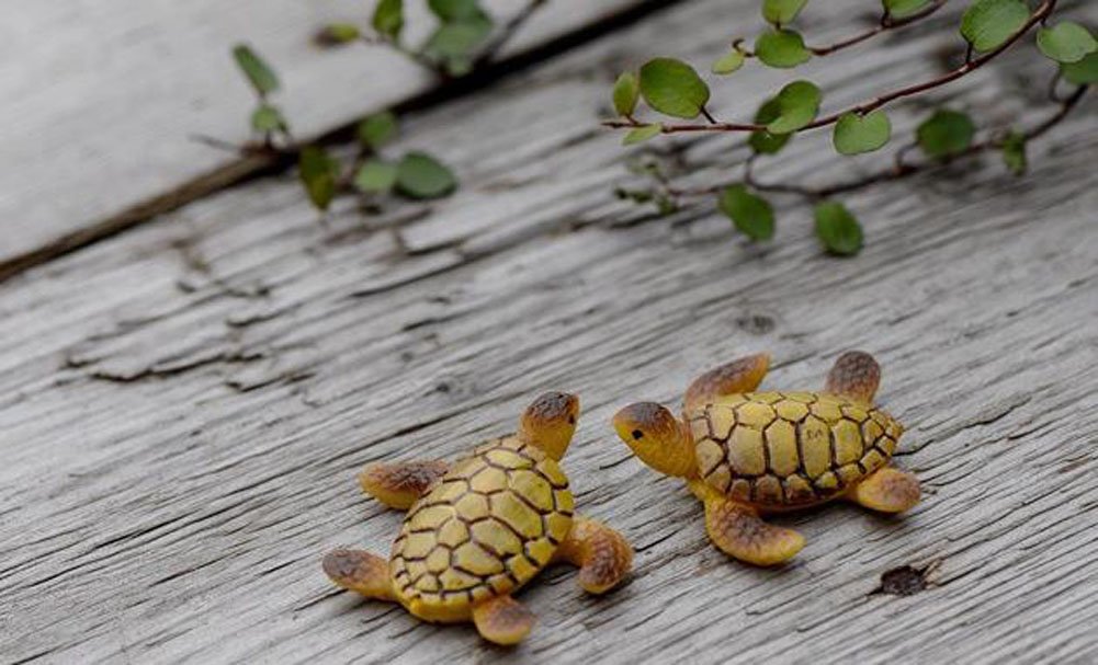 SunRise 6pcs Resin Cute Beach Sea Turtle Miniature Figurine Status Micro Landscape Decorations Fairy Gardens Dollhouse DIY Ornaments Decor