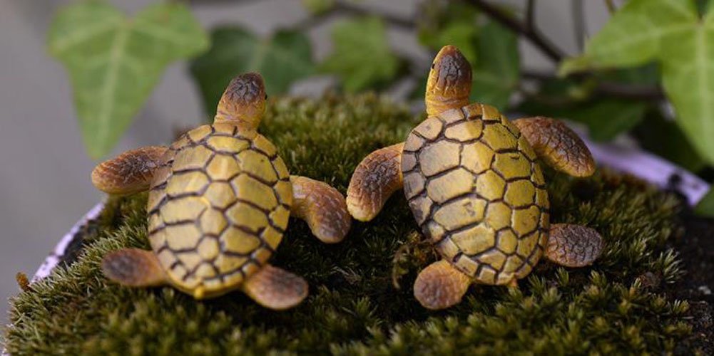 SunRise 6pcs Resin Cute Beach Sea Turtle Miniature Figurine Status Micro Landscape Decorations Fairy Gardens Dollhouse DIY Ornaments Decor