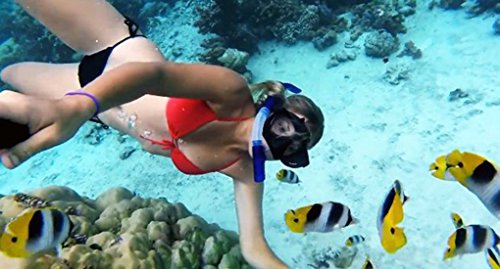 Yimobra Waterproof Housing Case for Gopro Hero 4 and Hero 3+ with Quick Release Mount and Thumbscrew Protective 147FT 45M Underwater Photography Dive Hero Transparent (Presented One More Clip)