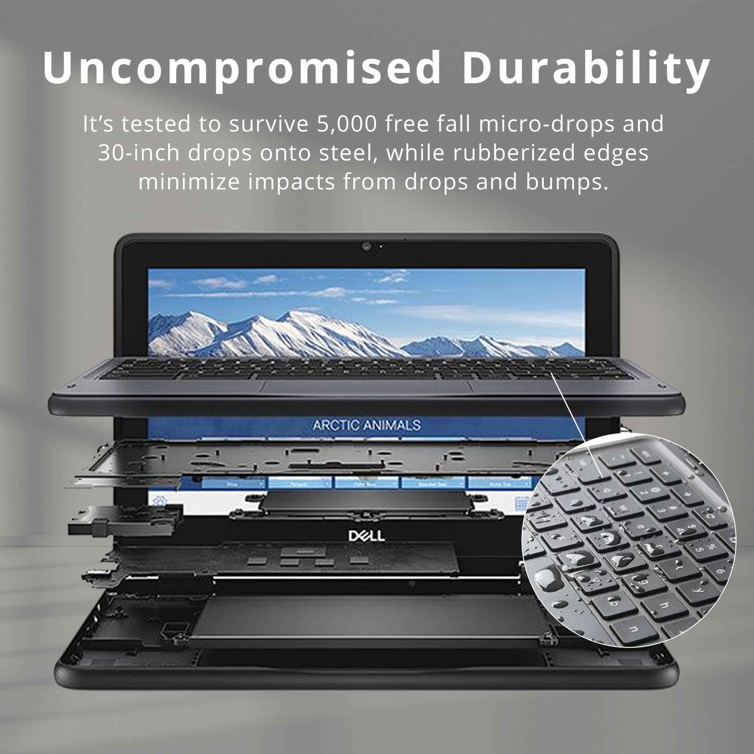 Dell Chromebook 11 3000 3100 11.6" Chromebook - HD - 1366 x 768 - Intel Celeron N4020 Dual-core (2 Core) - 4 GB RAM - 16 GB Flash Memory - Chrome OS - English (US) Keyboard - 14 Hour Battery Run