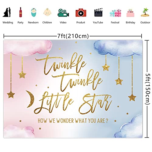 Lofaris Twinkle Twinkle Little Star Gender Reveal Backdrop Boy or Girl Pink or Blue How We Wonder What You are Golden Star Party Decoration Photography Background Cake Table Banner Wallpaper 7x5ft