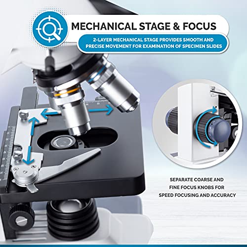 AmScope - 40X-2500X LED Digital Binocular Compound Microscope with 3D Stage + 5MP USB Camera