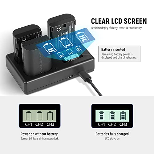 NEEWER LP-E6 Replacement Battery and Charger Set, 3 Pack 2000mAh Replacement for LP-E6 LP-E6N & Triple Slot USB Charger Compatible with Canon EOS 5D Mark II Mark III Mark IV 5D SR 60D 60Da 6D 70D 7D