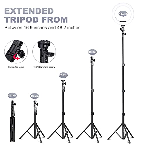 PHOPIK Selfie Ring Light with Tripod Stand:Cell Phone Ring Light Stand for Video Conference Lighting/Zoom Lighting/Makeup/Live Stream-Mini Phone Camera Ringlight for YouTube Video/Photography