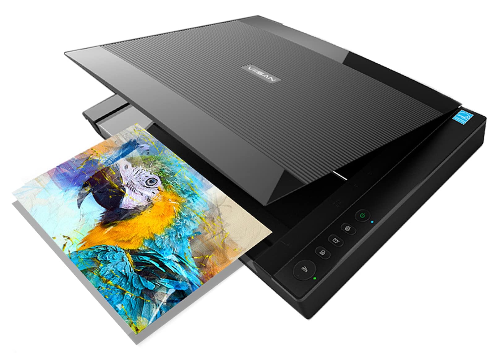 VIISAN 3240 A3 Large Format Flatbed Scanner, 2400 DPI, Scan 12"x 17" in 4 sec, Frameless, Auto-Scan, Document & Photo & Book Scanner, Design for Library, School and Soho. Supports Windows 11 & Mac