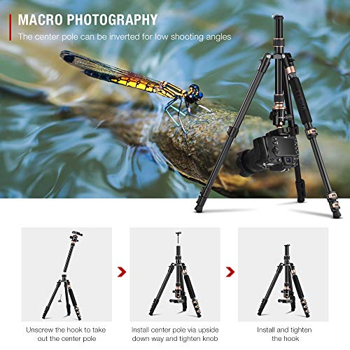TYCKA 56” Camera Tripod, Lightweight Aluminum Travel Tripod Professional Compact Tripod Monopod for DSLR Camera With 360 Degree Ball Head, Quick Release Plate, Carry Bag