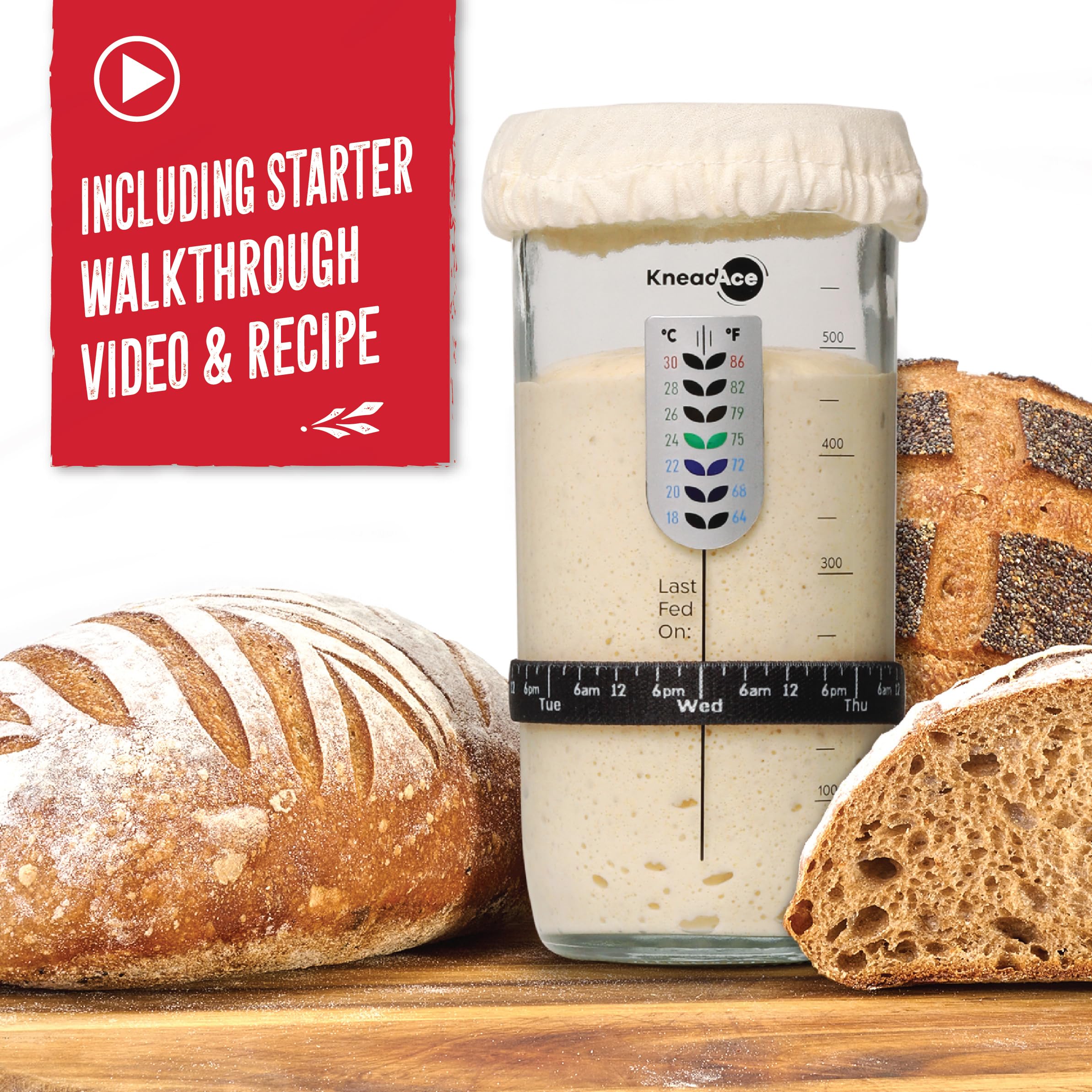 KneadAce Sourdough Starter Jar With Date Marked Feeding Band, Thermometer, Sourdough Jar Scraper, Sourdough Container Sewn Cloth Cover & Metal Lid, Sourdough Starter Kit For Sourdough Bread Baking
