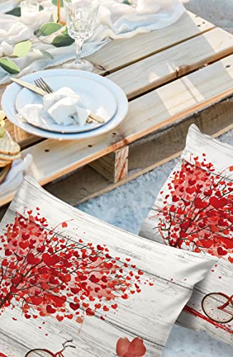 Outdoor Pillows 16x16 Waterproof Outdoor Pillow Covers,Valentine's Day Hearts Balloon Polyester Throw Pillow Covers Garden Cushion for Patio Couch Decoration Set of 2,Rustic Wood Bicycle Tree