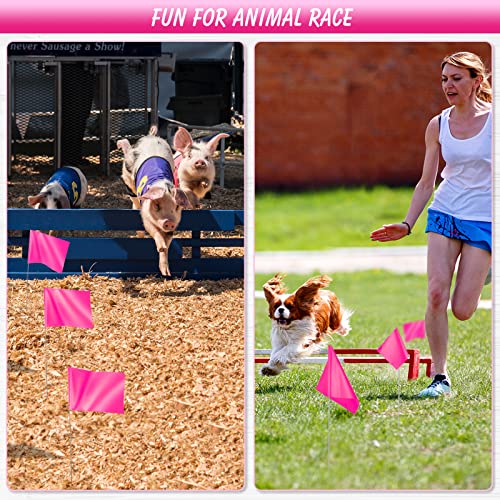 IKAYAS 100 Pack Marking Flags Marker Flags for Lawn 4 * 5 Inch Pink PVC Small Yard Flags Stake Flags on 15 inch Steel Wire, Lawn Flags, Yard Flags, Garden Flags
