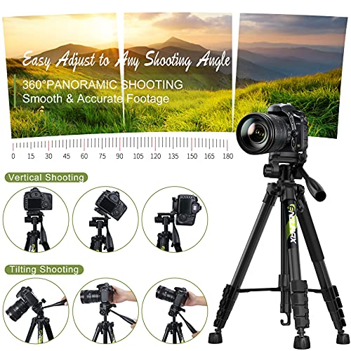 Endurax 66 Tripod for Camera and Phone Camera Tripod Stand with Quick Release Plate Compatible with iPhone Nikon Canon DSLR Heavy Duty and Sturdy