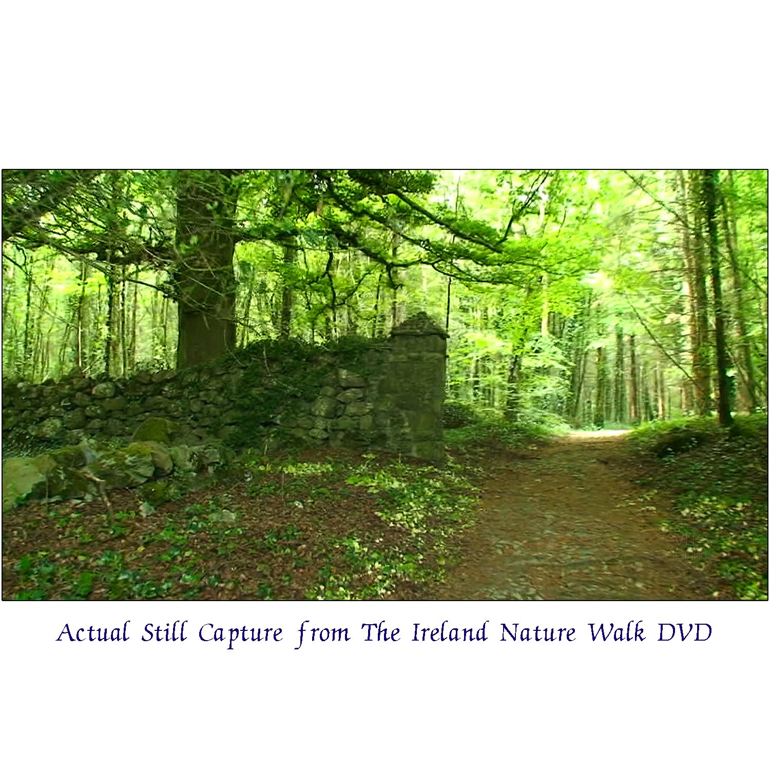 Ireland Nature Walk Treadmill Scenery DVD
