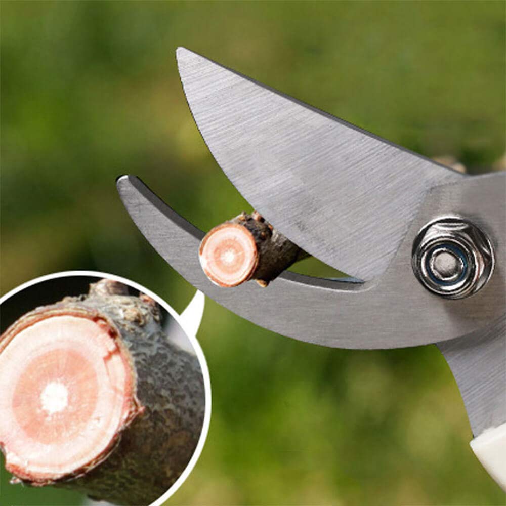 BUGUI Garden Pruning Shears Set - 2 Pack, 1 Bypass Pruner+1 Straight Blade Scissors, Sharp Garden Shears for Cutting Flowers, Trimming Plants, Bonsai, Fruits Picking