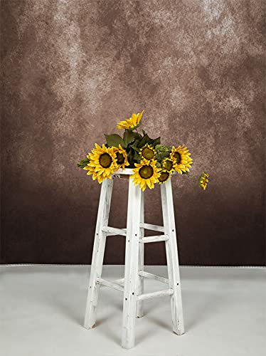 Kate 5x7ft Brown Portrait Backdrops Vintage Brown Backgrounds for Professional Photography Studio