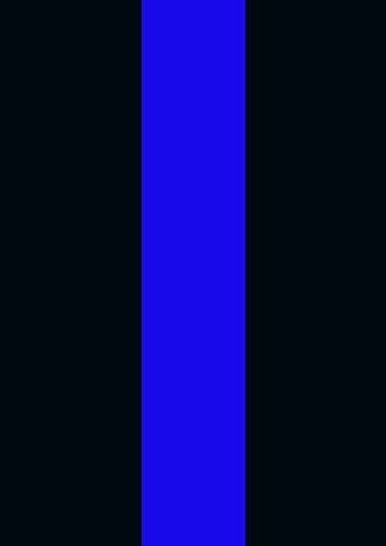 Toland Home Garden 1110867 Thin Blue Line Police Flag 12x18 Inch Double Sided Police Garden Flag for Outdoor House Patriotic Flag Yard Decoration