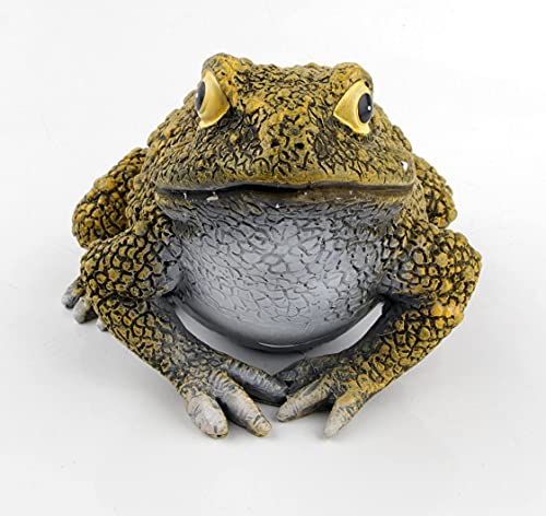 ABEESEA Frog Toad Sculptures Garden Statues Yard Art Resin Decorations Outdoor Outdoor Toad Figurine for Gardens,patios and lawns,Brown
