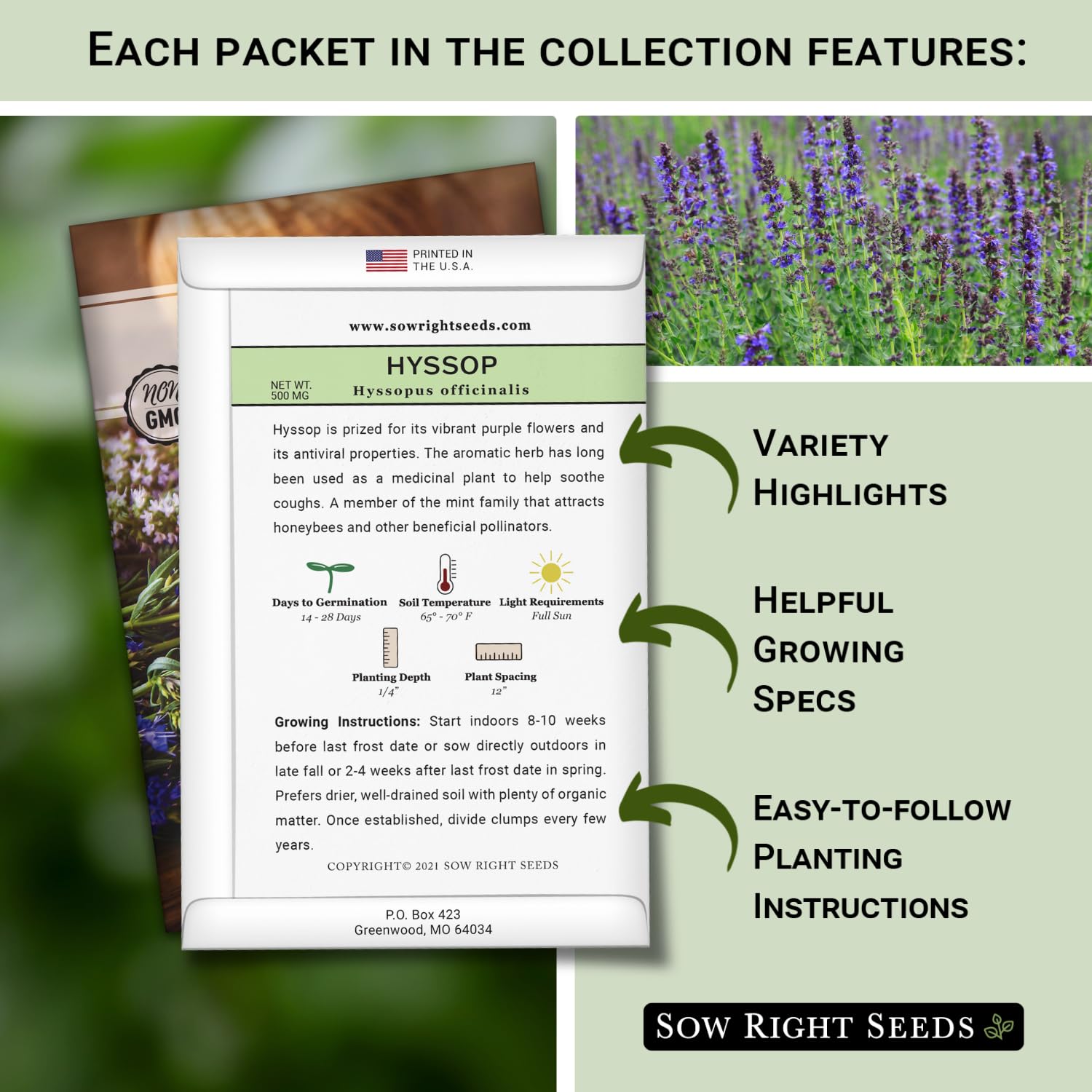 Sow Right Seeds - Large Herbal Tea Garden Seed Collection - Lemon Balm, Mint, German Chamomile, Lavender, Echinacea, Holy Basil, Calendula, Borage, Hyssop, Peppermint Non-GMO Heirloom Seeds