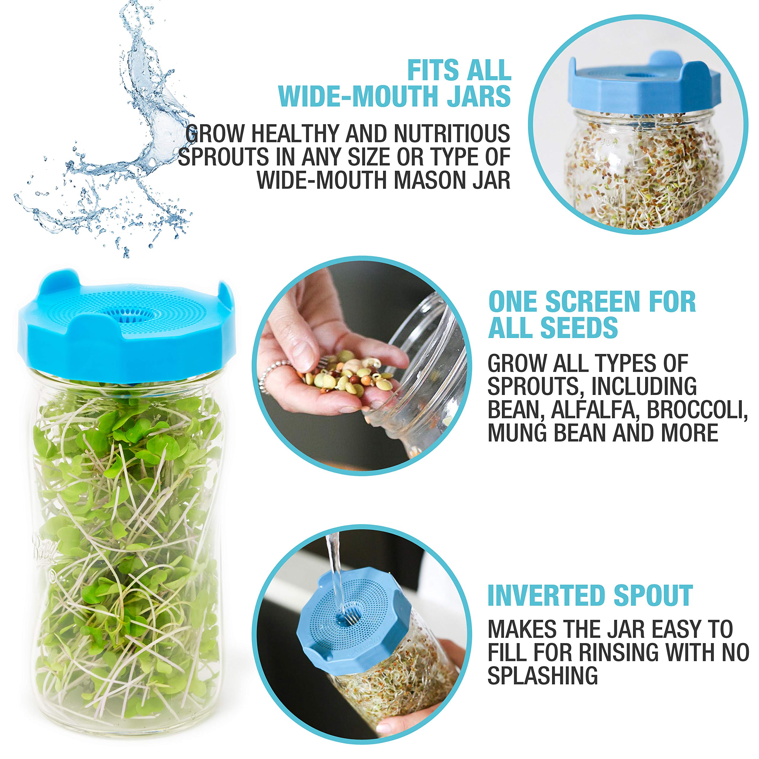 Masontops Bean Screen Microgreens Growing Kit Plastic Sprouting Lids Wide Mouth Mason Jar Sprout Kit β For Growing Broccoli Sprouts, Alfalfa, Seed & Bean Sprouts β 2 Pack Wide Mouth Sprouting Jar Lids