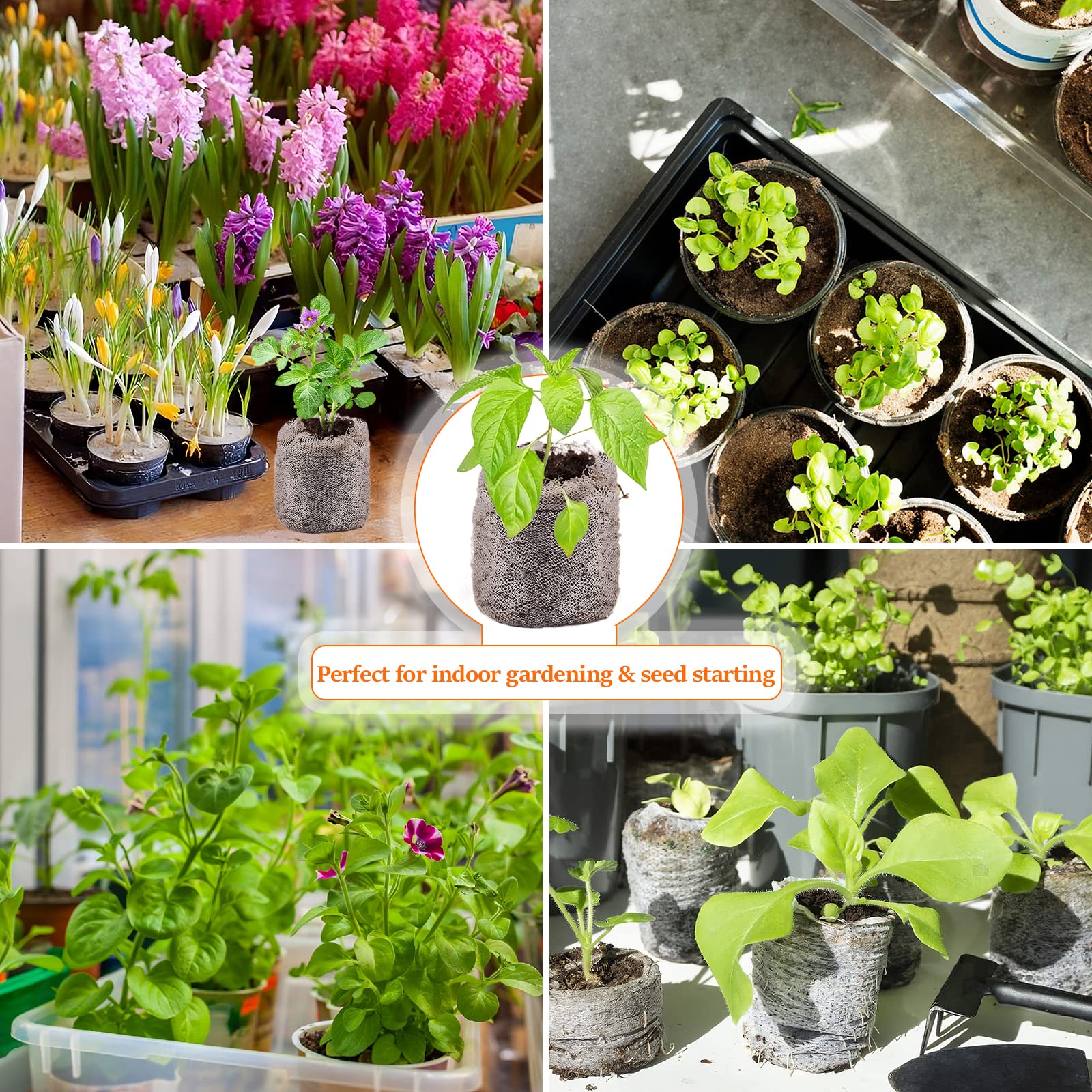 Legigo 50 Pcs 30mm Peat Pellets Starter Pods, Compressed Starting Plugs Pellet Fiber Soil Helps to Avoid Root Shock for Planting Herb Flower Vegetables
