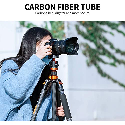 K&F Concept 68" Carbon Fiber Camera Tripod,Compact Tripods with Metal Ball Head,Quick Release Plate,Detachable Monopod 10KG Load for DSLR Cellphone Tripods(SA255C1) D255C4+BH-28L
