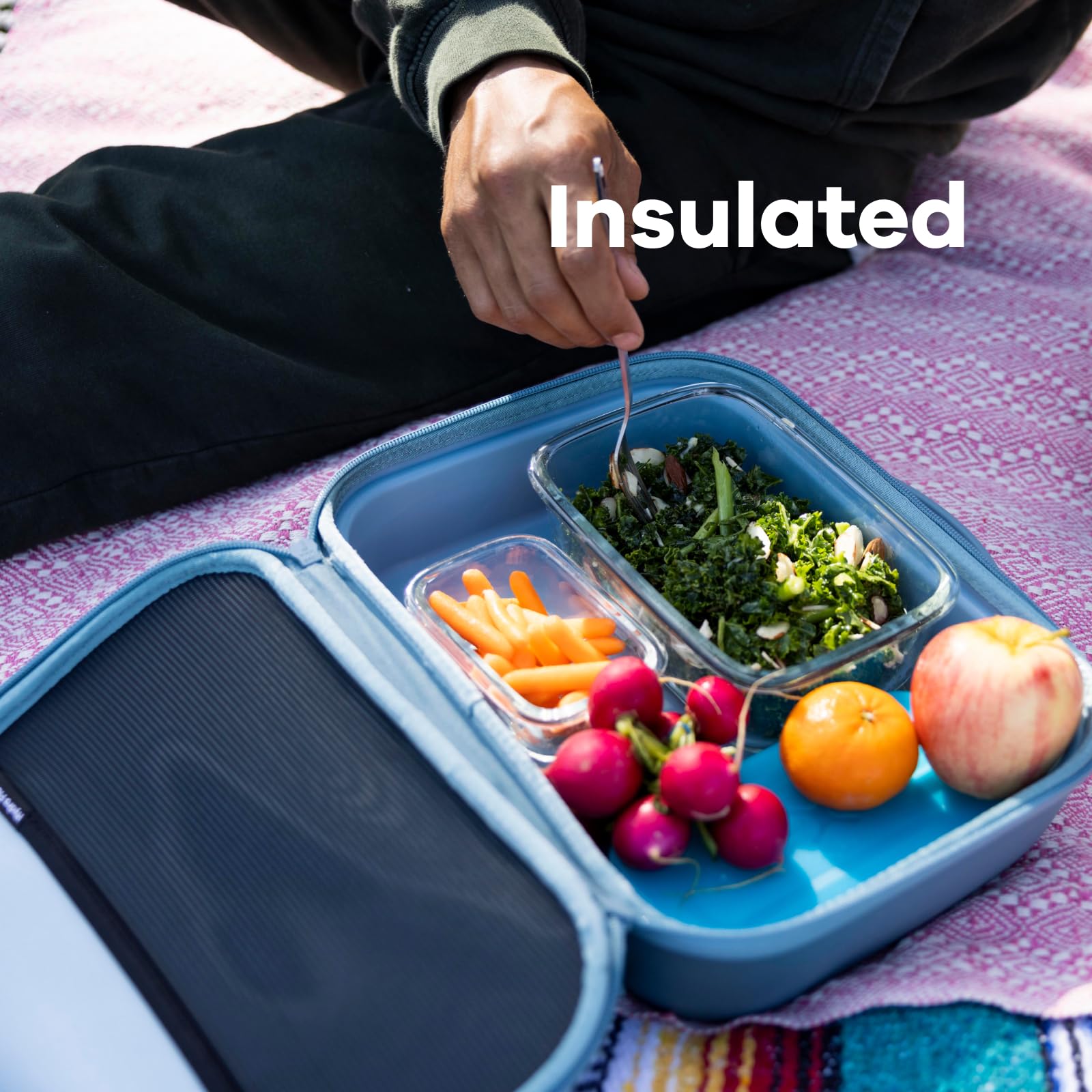 Hydro Flask Large 5 L Insulated Lunch Box , Blackberry
