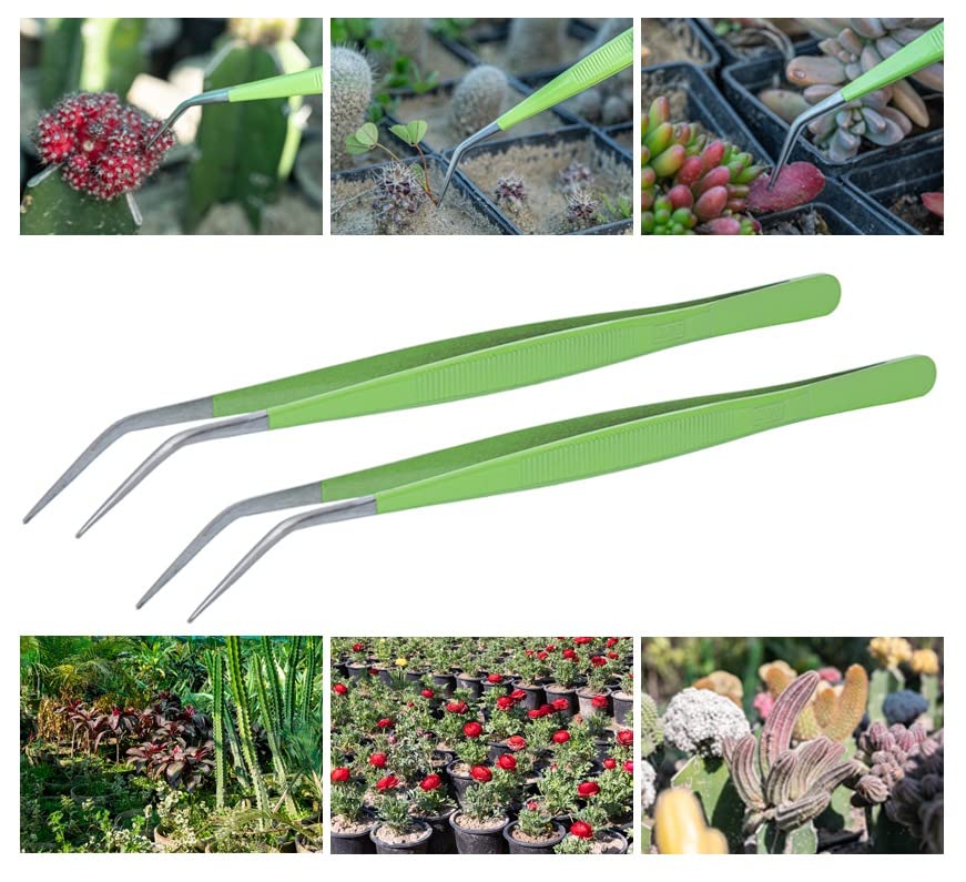 HADIZ Stainless Steel Garden Tweezer Two Piece Set with Curved Tip Tweezers for Cactus and Succulents Gardening