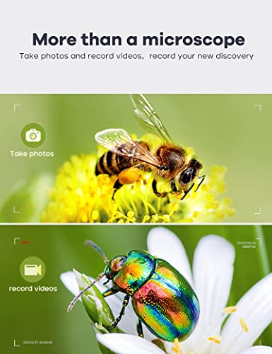 7" LCD Digital Microscope 1200X,Leipan 12MP Coin Microscope with Screen for Adults,1080P Video Microscope with 12pcs Slides,Wired Remote,2 Side Lights,Windows/Mac OS Compatible…