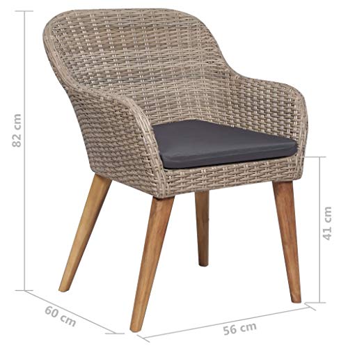 vidaXL 2Pcs Outdoor Chairs with Cushions Poly Rattan,Rattan Chair, with armrests, Garden Dining Set, Patio Dining Table Furniture Set, Comfortable Cushions, 22" x 23.6" x 32",Brown
